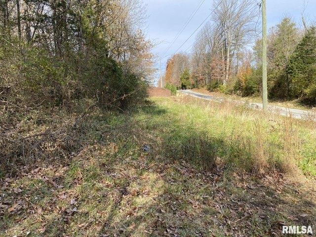 Wood Rd, Murphysboro, IL 62966