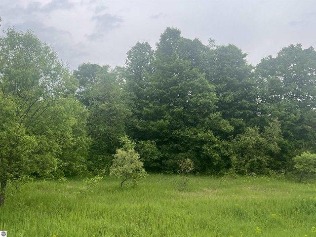 Wood Rd, Kalkaska, MI 49646