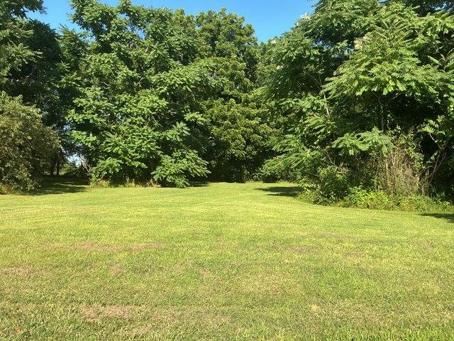 Wood St, Charleston, AR 72933
