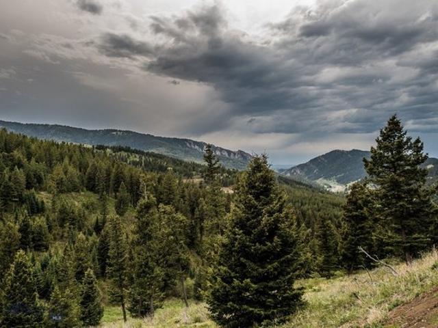 Woodchuck Rd, Bozeman, MT 59715