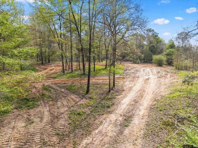 Woodchuck Rd, Pittsburg, TX 75686