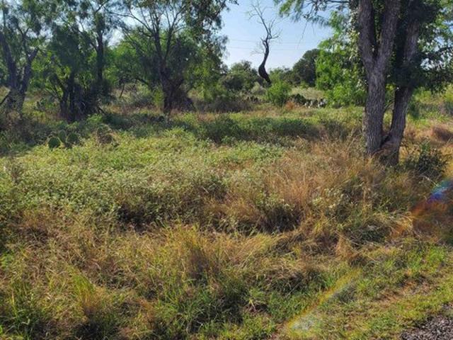 Woodcrest Dr Lots 376 & 377, Granite Shoals, TX 78654