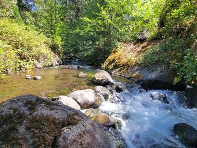 Woodcutters Way, Manton, CA 96059