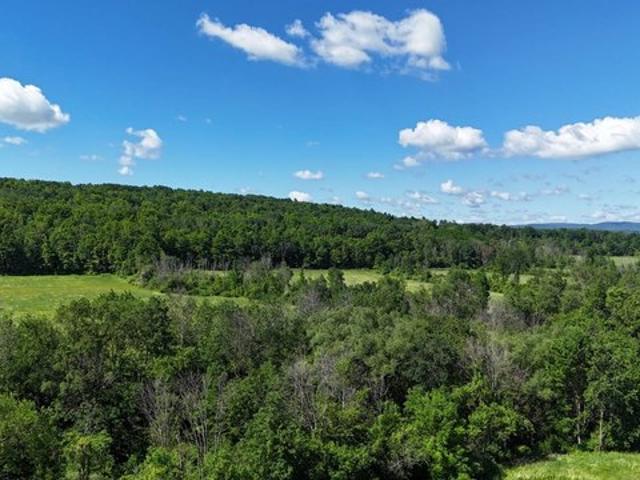 Woodbeck Rd, Canajoharie, NY 13317