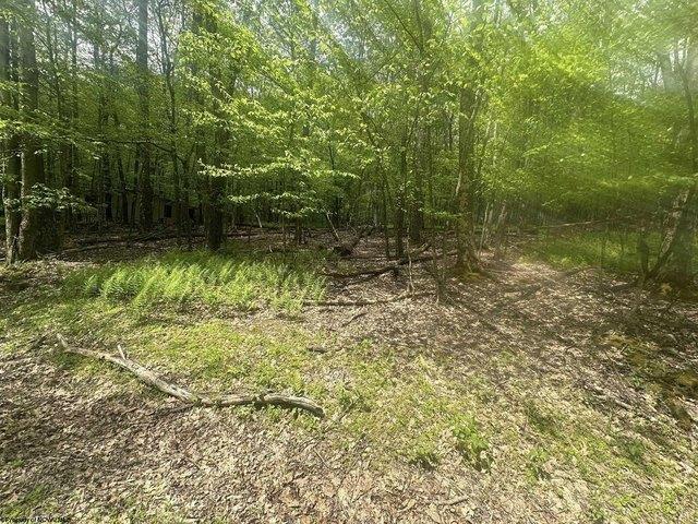 Woodbine Dr Lot 197, Terra Alta, WV 26764