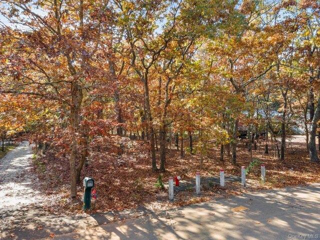 Wooded Oak Ln, East Hampton, Plot For Sale