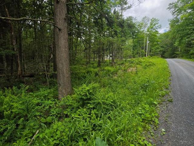 Wooded Ln Lot 23, Muncy Valley, PA 17758