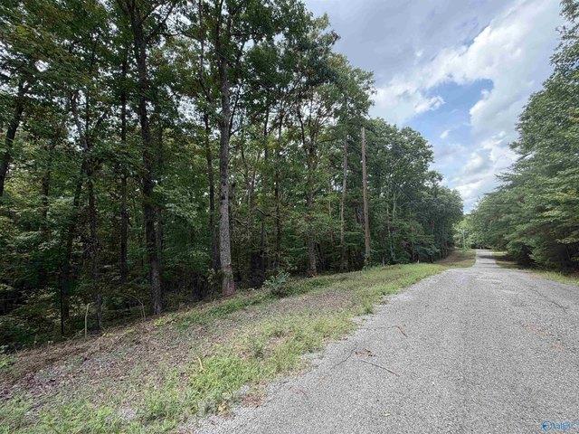 Woodfern Dr Lots 33 & 34, Scottsboro, AL 35678