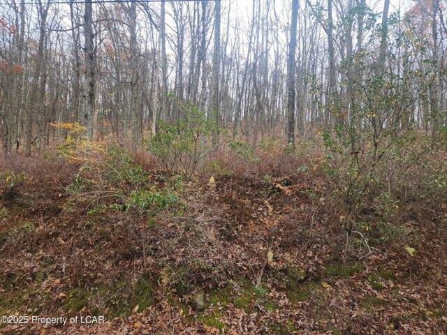 Woodhaven Dr, White Haven, Plot For Sale