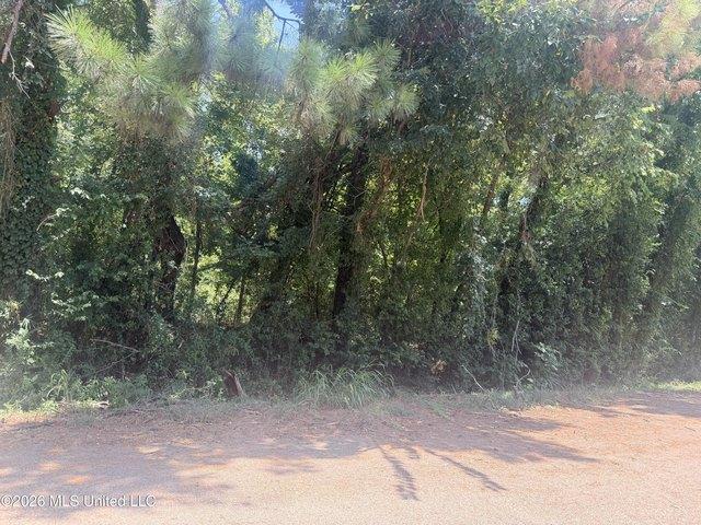 Woodhaven Lot 26, Natchez, MS 39120