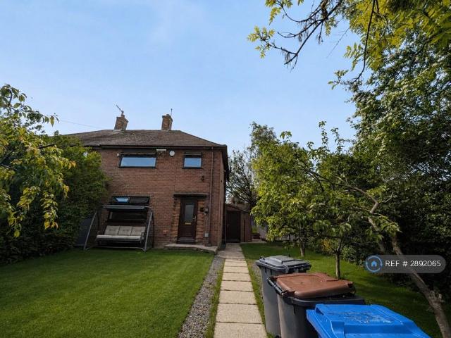 Woodhall Place, Newcastle, ST5 3 bed semi detached house to rent £1,095 pcm £253 pw