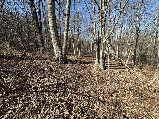 Woodhill Rd Lot,monson, Plot For Sale