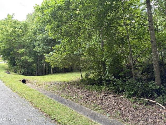 Woodhurst St, Weber City, VA 24290