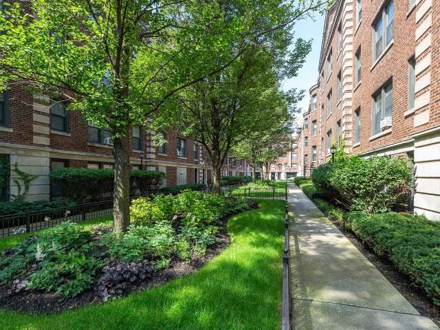 Woodlawn Terrace 1 Bedroom Apartment for Rent at 4726 S Woodlawn Ave, Chicago, IL 60615 Kenwood