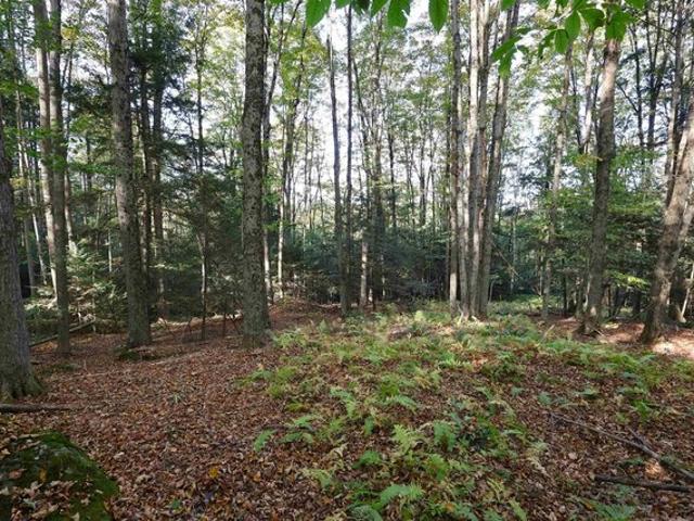 Woodlawn Dr Lots 2 & 3, Hartford, VT 05001