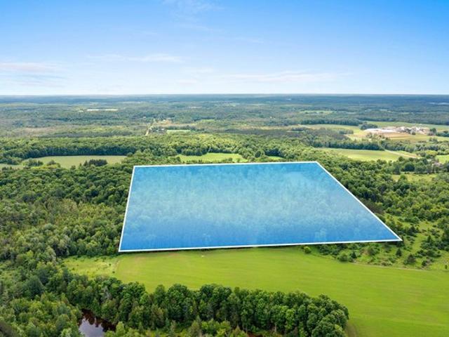 Woodlawn Rd E, Mattoon, WI 54450