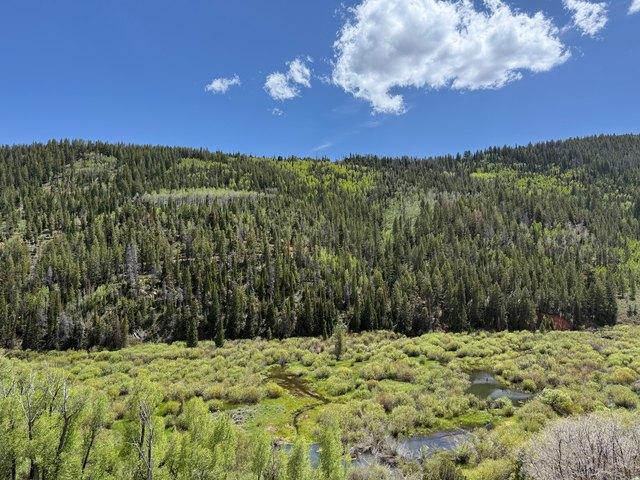 Woodland, UT 84036