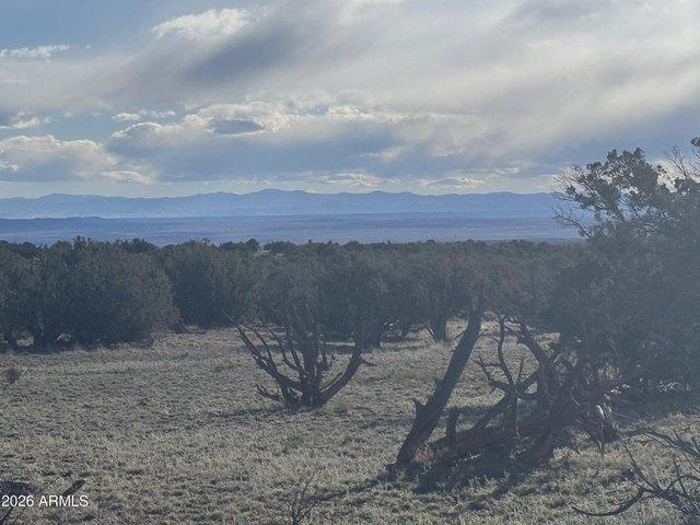Woodland Valley Rnch Lot 215, Saint Johns, AZ 85936