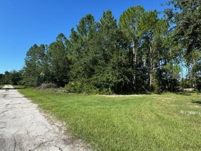 Woodland Ave, Paisley, FL 32767 | MLS #V4944