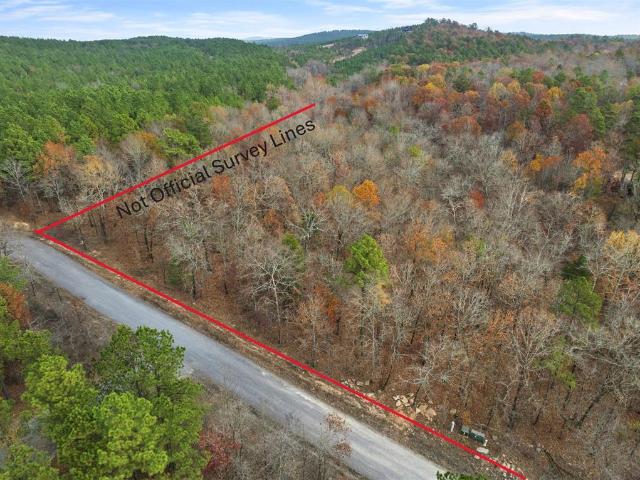Woodland Bluff Trail