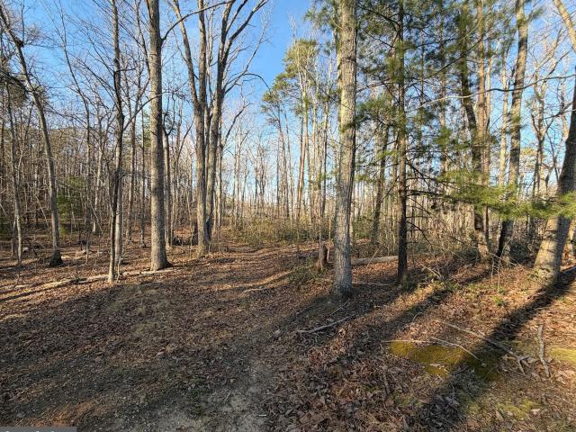 Woodland Church Rd, Culpeper, VA 22701 | MLS #VACU2013
