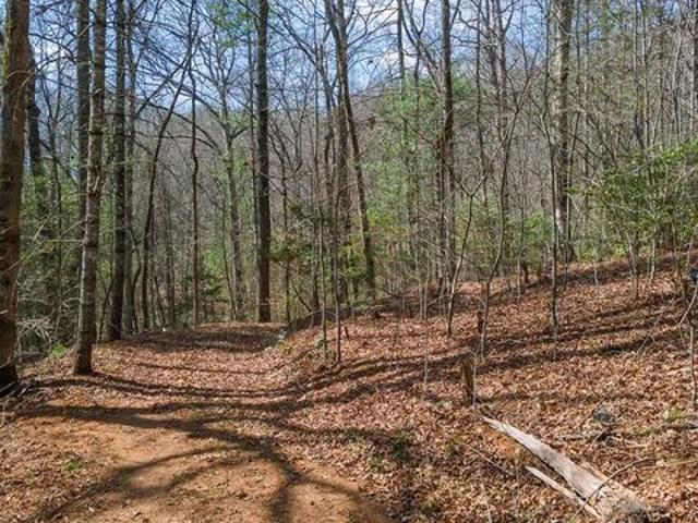 Woodland Cv, Franklin, NC 28734