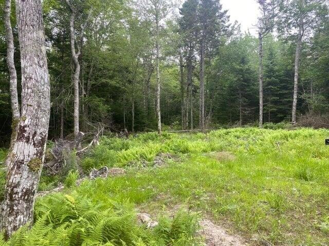 Woodland Dr, Trenton, Plot For Sale