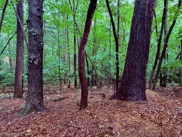 Woodland Dr, Elkin, NC 28621