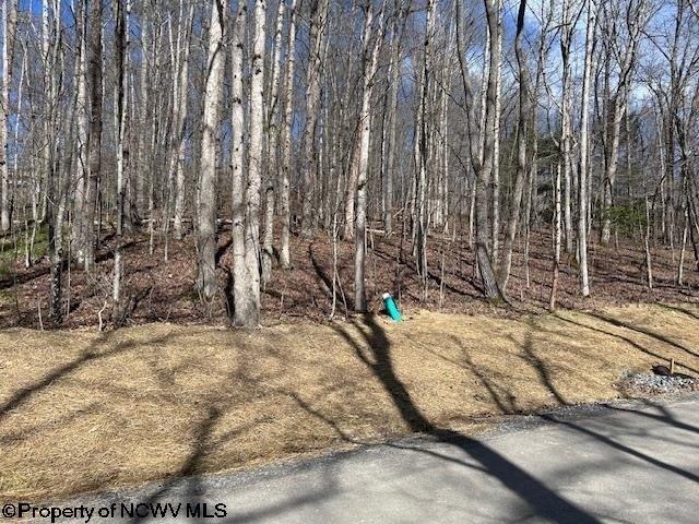 Woodland Dr Lot 30, Beverly, WV 26241