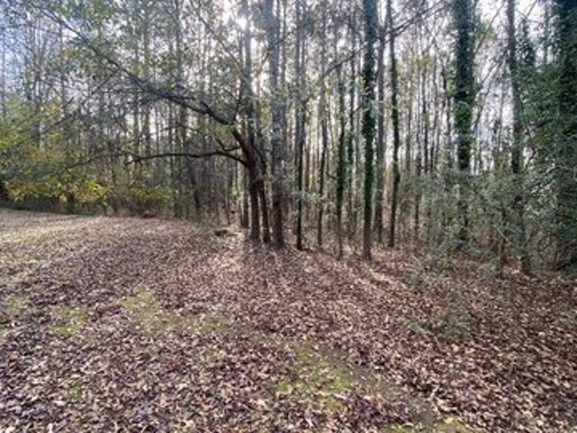 Woodland Dr Lot 81, Cataula, GA 31804