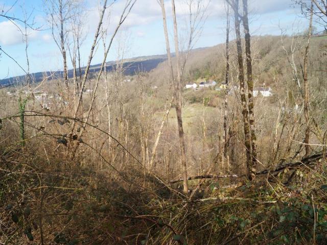 Woodland for sale