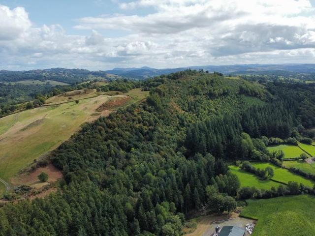 Woodland for sale