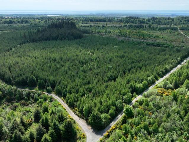 Woodland for sale