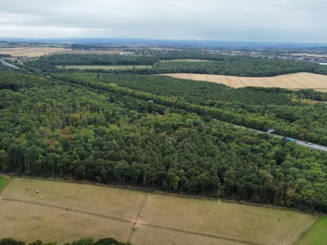 Woodland for sale