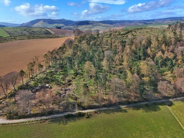 Woodland for sale