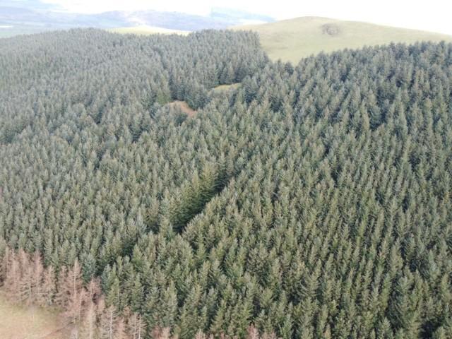 Woodland for sale