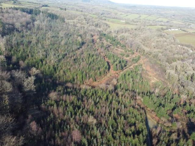 Woodland for sale
