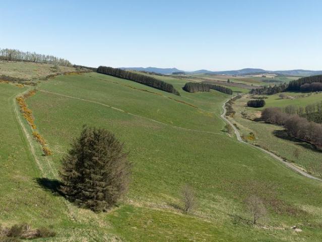 Woodland for sale