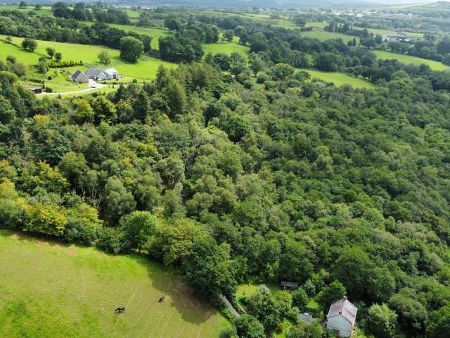 Woodland for sale