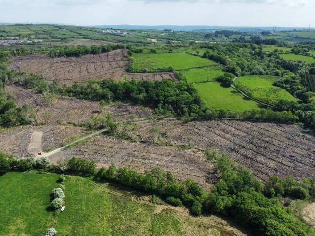Woodland for sale