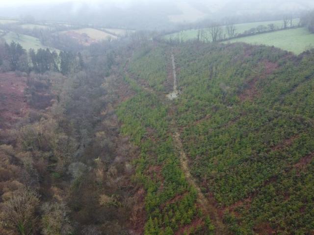 Woodland for sale