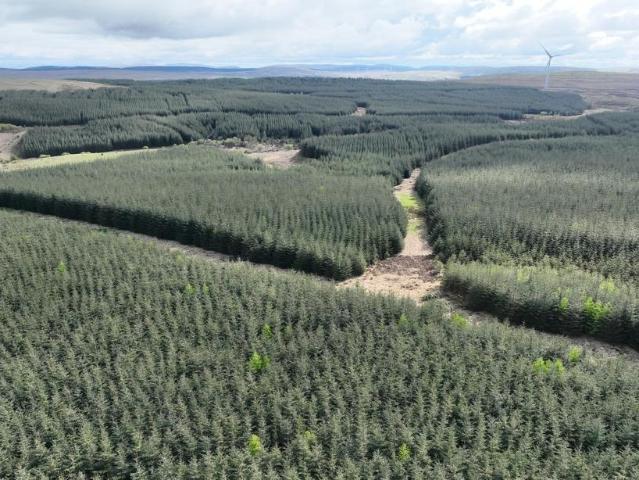 Woodland for sale