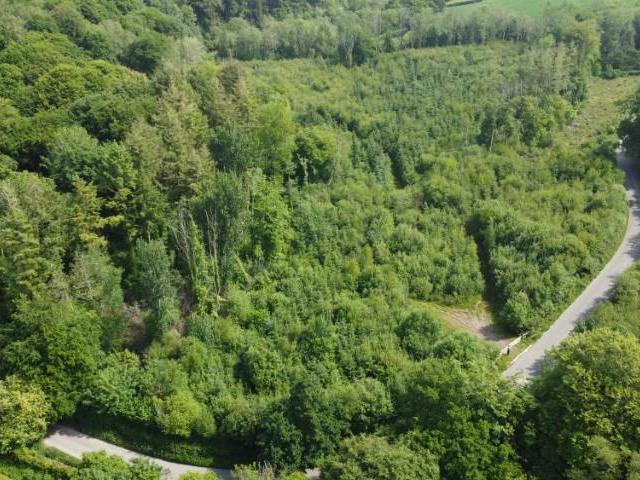 Woodland for sale