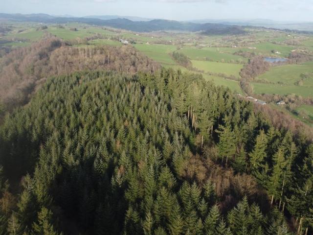 Woodland for sale
