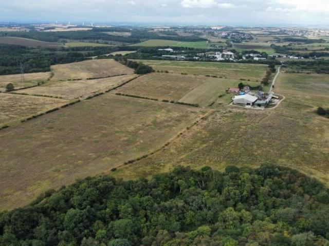Woodland for sale