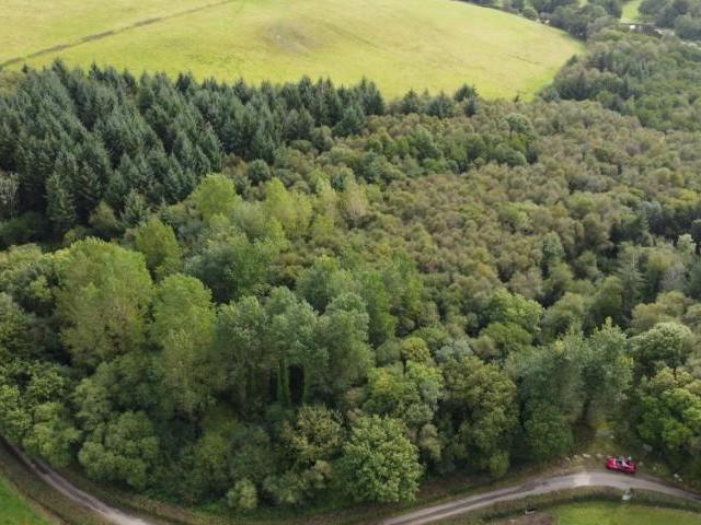 Woodland for sale