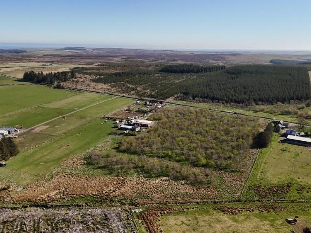 Woodland for sale