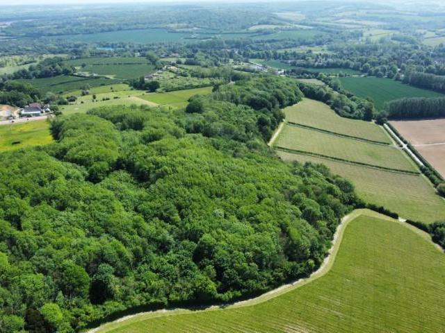 Woodland for sale