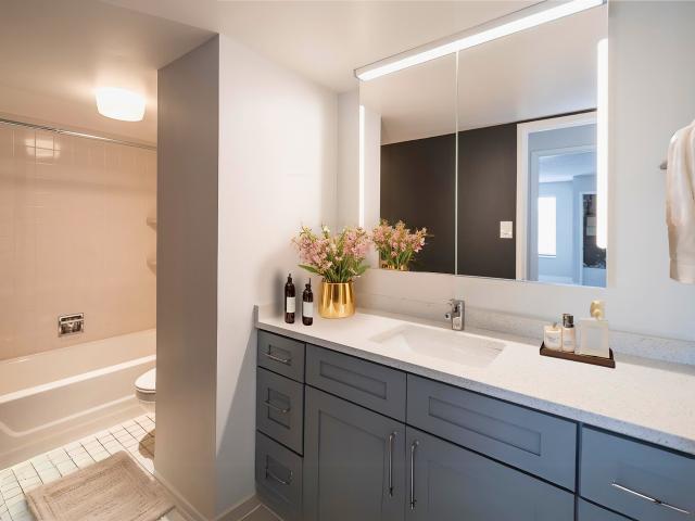 Woodland Park 1 Bedroom Apartment for Rent at 606 606 637 E Woodland Park Ave, Chicago, IL 60616 South Loop