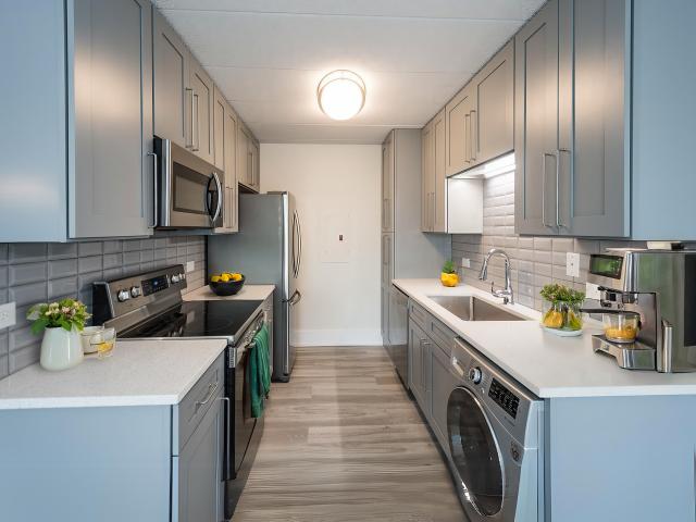 Woodland Park 2 Bedroom Apartment for Rent at 606 606 637 E Woodland Park Ave, Chicago, IL 60616 South Loop